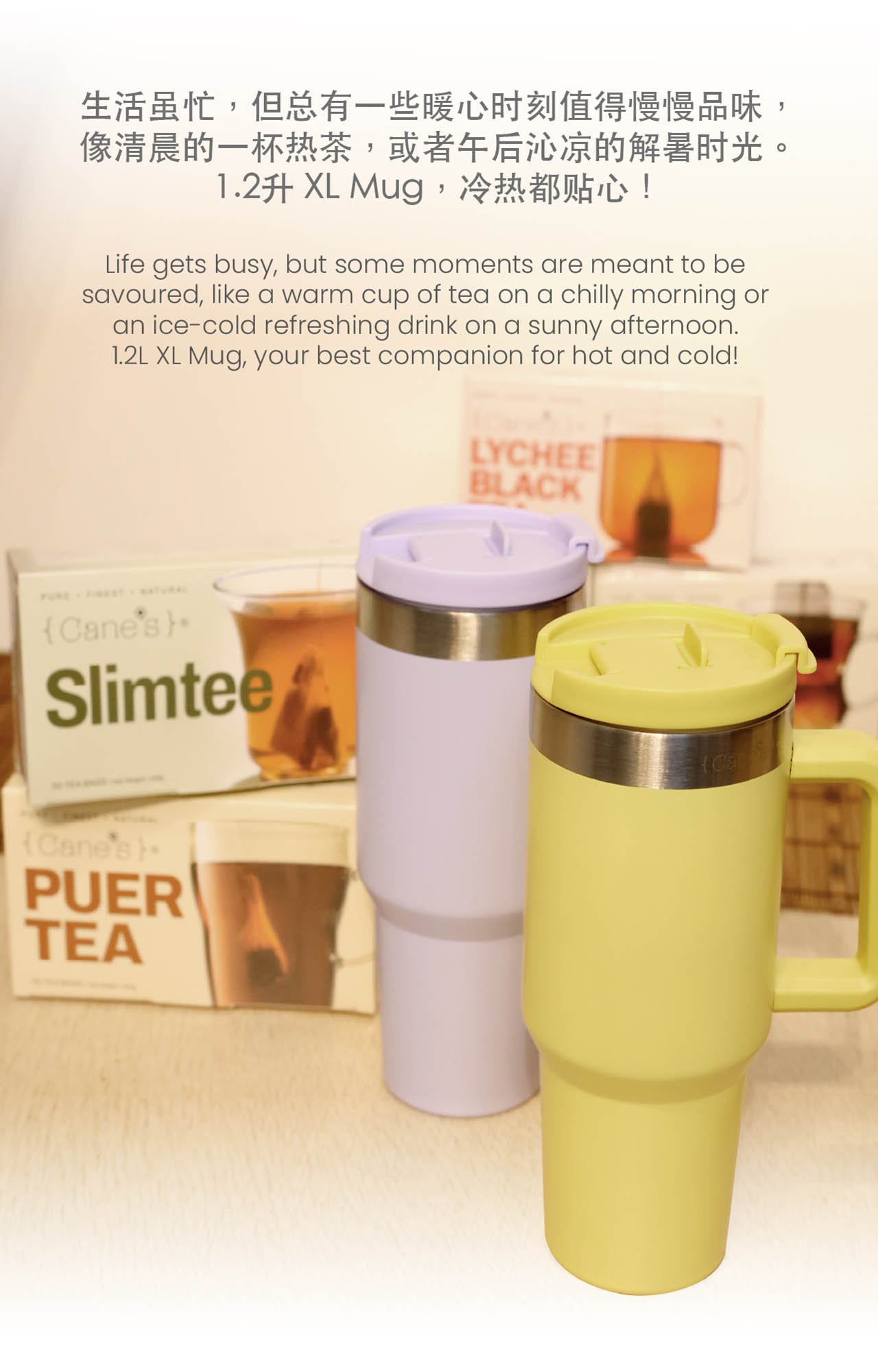 Purple Cane Online Tea Store